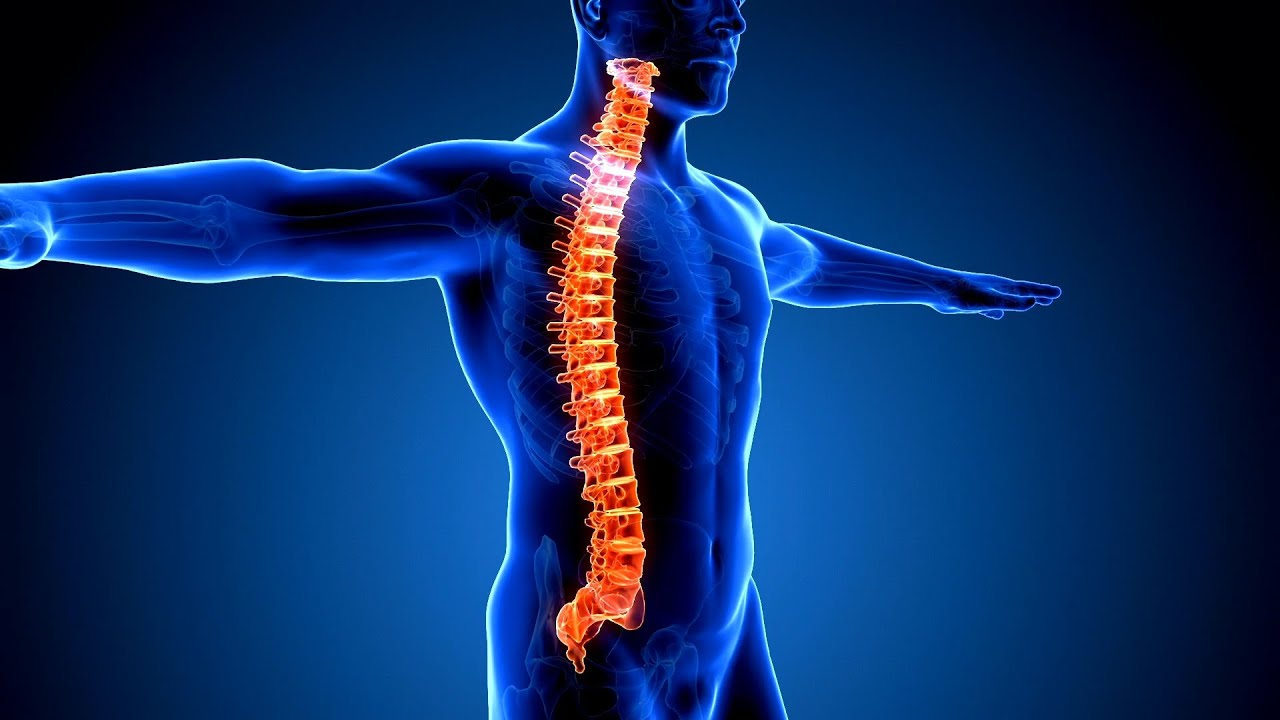 3D printed spine scaffold - YouTube