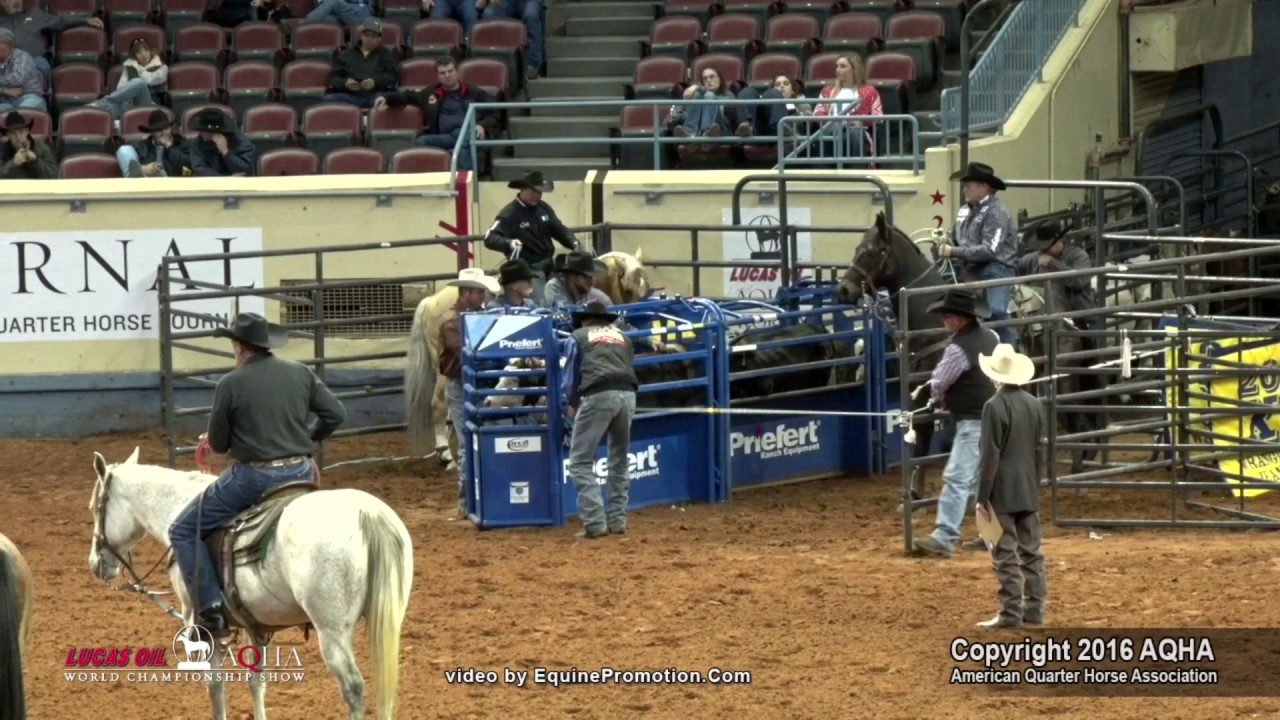A Judges Perspective: 2016 AQHA Senior Heeling - YouTube