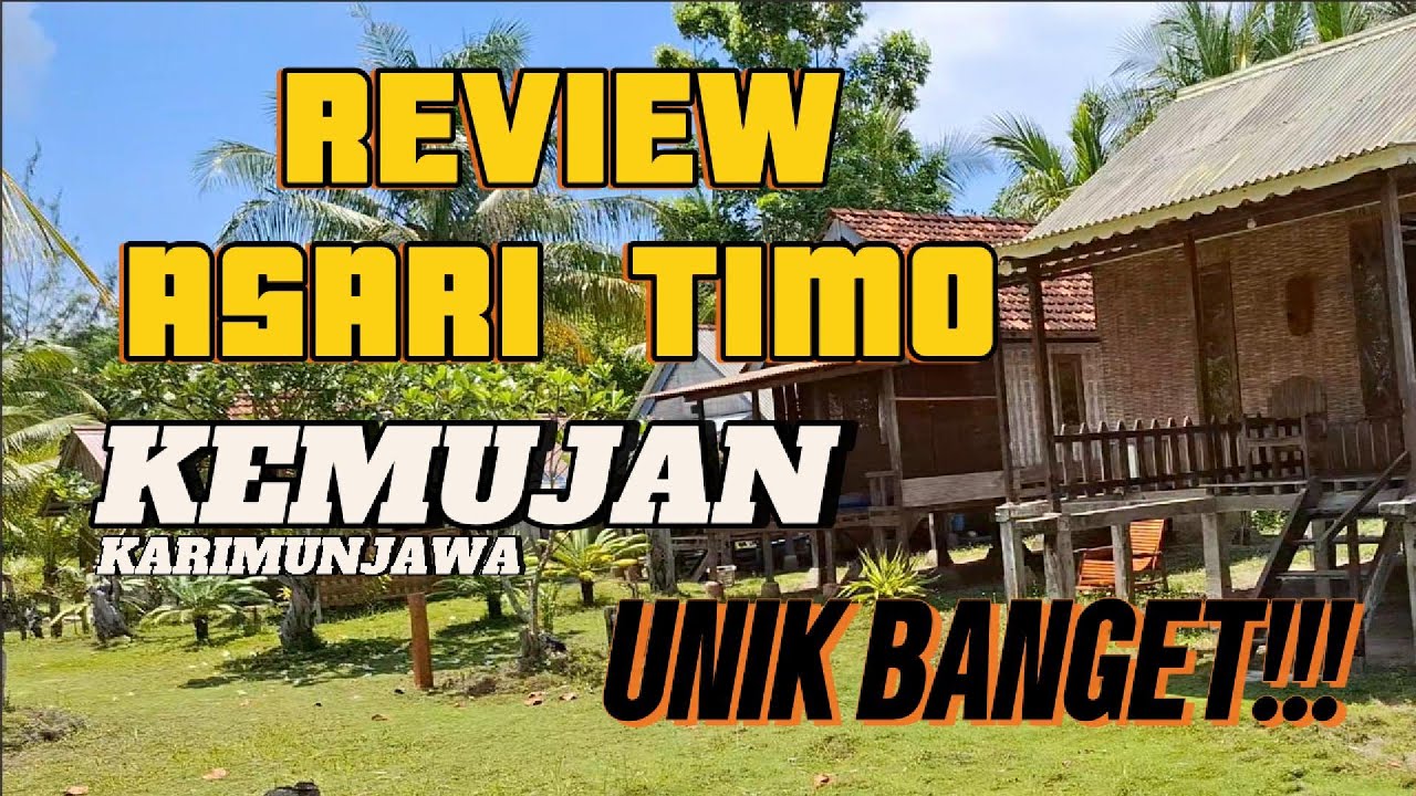REVIEW ASARI TIMO - YouTube