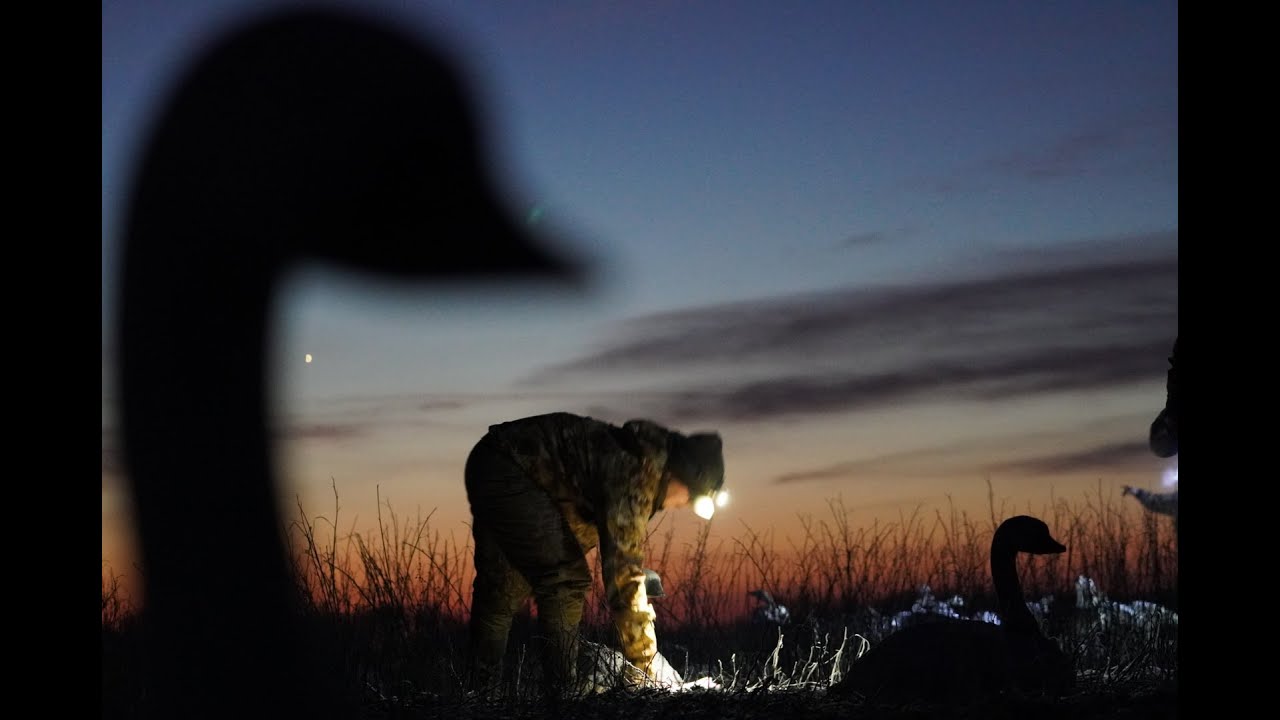Swan Hunting with Conmans Guide Service - YouTube