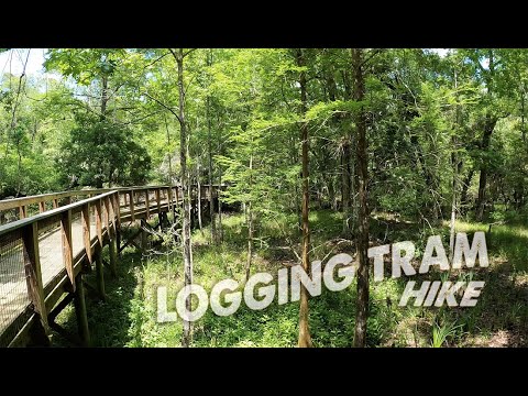 Logging Tram Hike at Half Moon Wildlife Management Area - YouTube