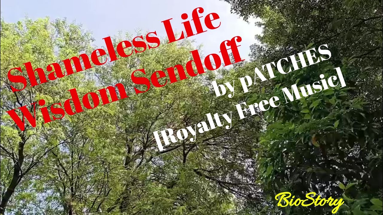 SHAMELESS LIFE WISDOM SENDOFF by pATHES [Royalty Free Music] - YouTube