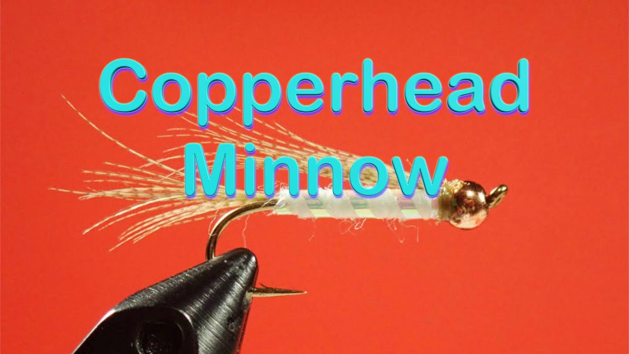 Beginner's Fly Tying Series: Easy Streamer Series - the Copperhead ...