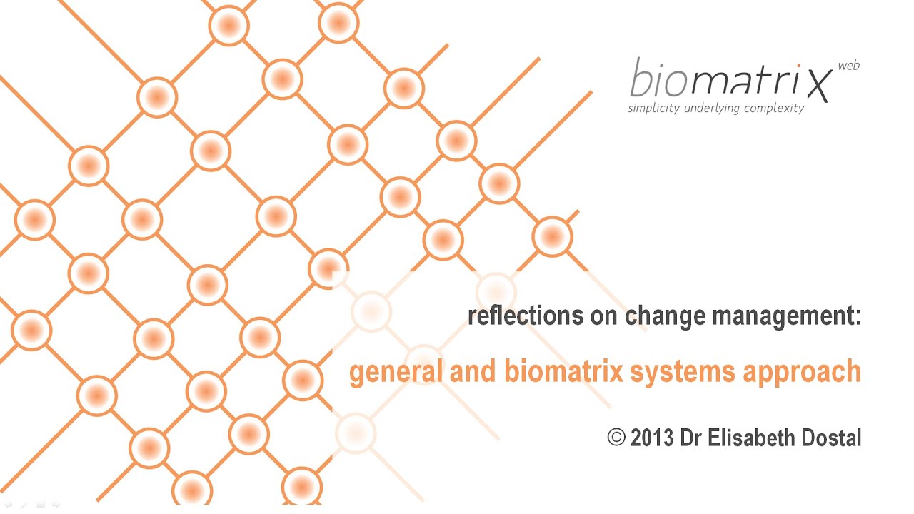 Reflections on systemic change management: general and Biomatrix ...