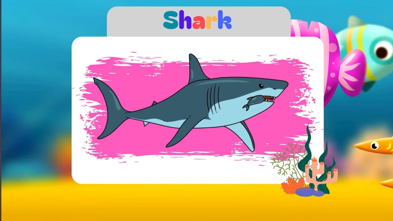Learning Sea Animals | Educational Video for Toddlers and Kids | Wild ...