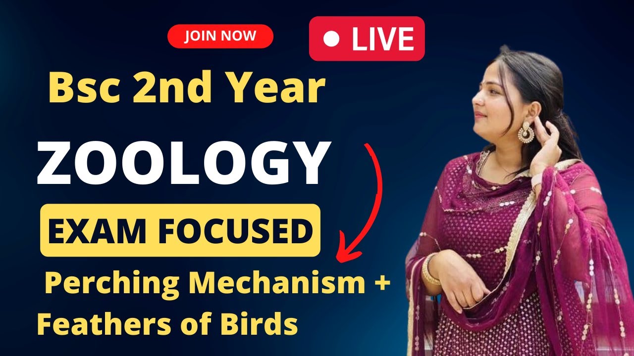 BSc 2nd Year Zoology || Perching Mechanism + Feathers of Birds || 20 ...