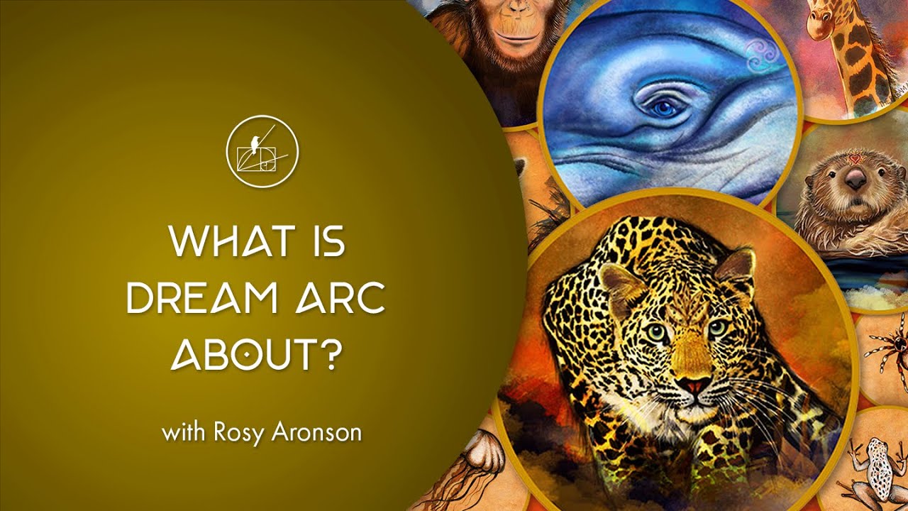 What Is Dream Arc About? - YouTube