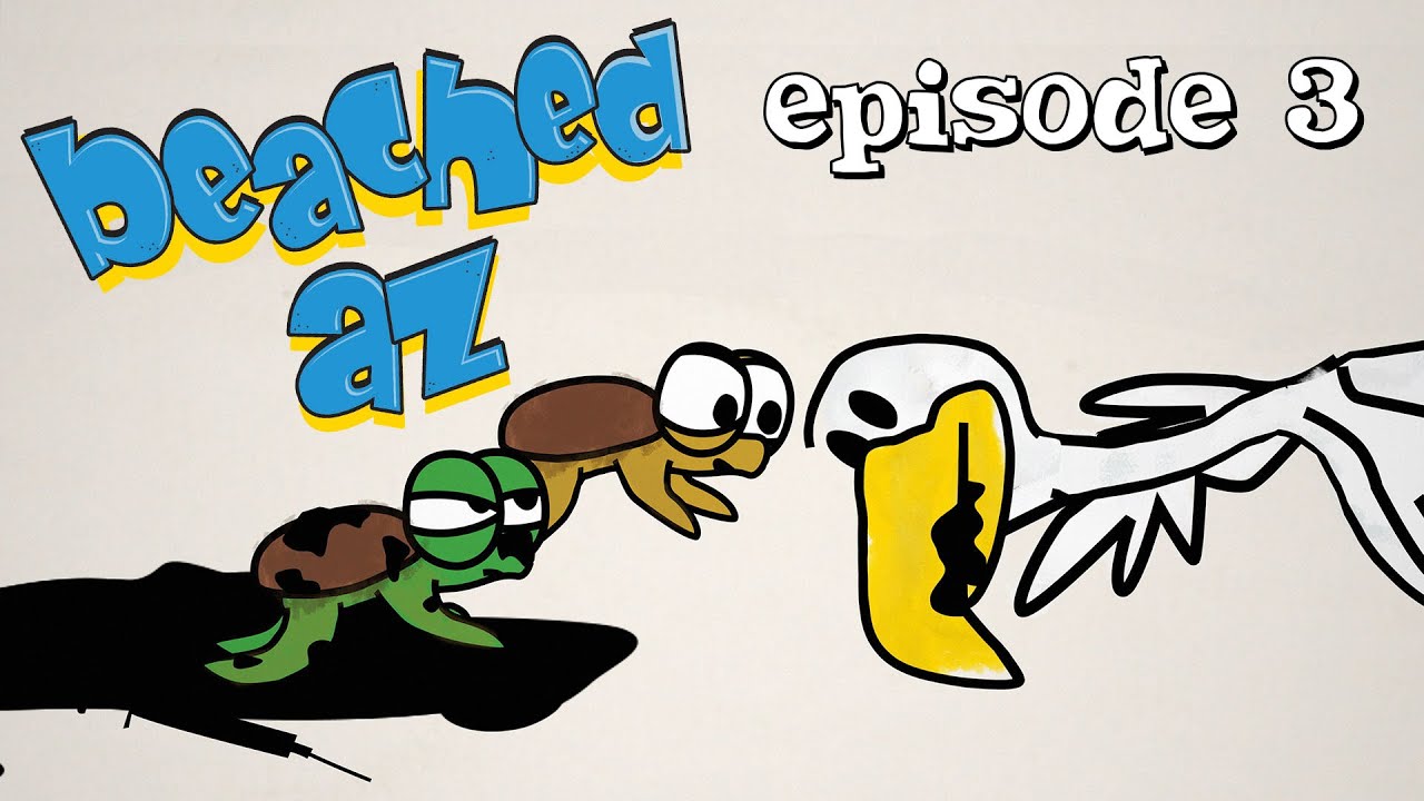 Beached Az: The Baby Turtles - YouTube