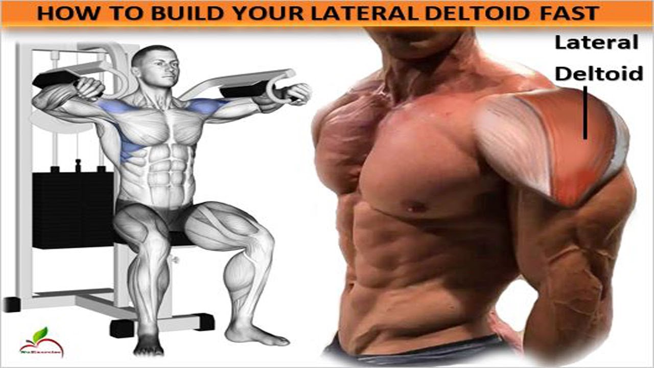 How To Build Your Lateral Deltoid, Side shoulder workout - YouTube