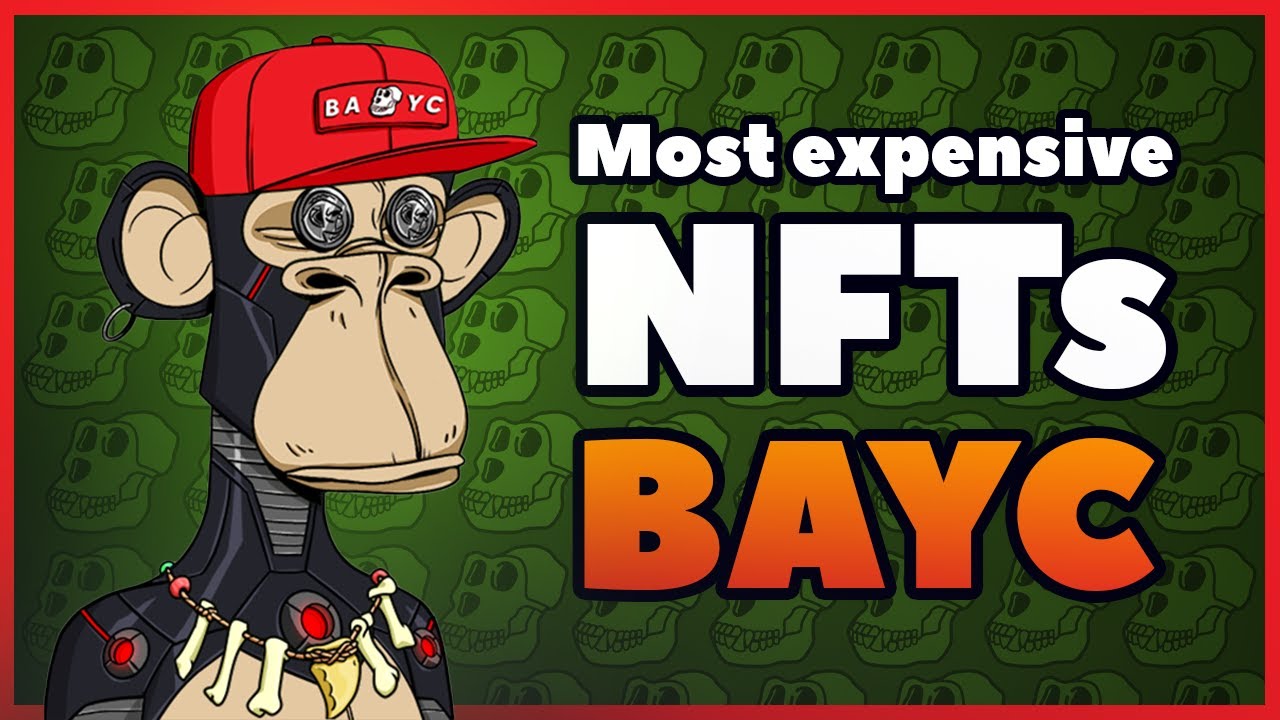 What is Bored Ape Yacht Club? | BAYC Explained | Animation - YouTube