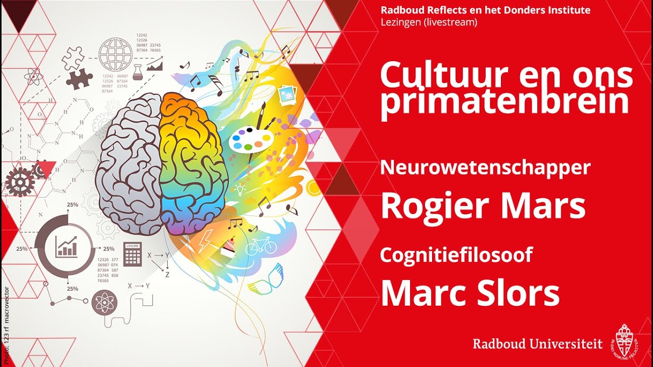 Cultuur en ons primatenbrein | Neurowetenschapper Rogier Mars en ...