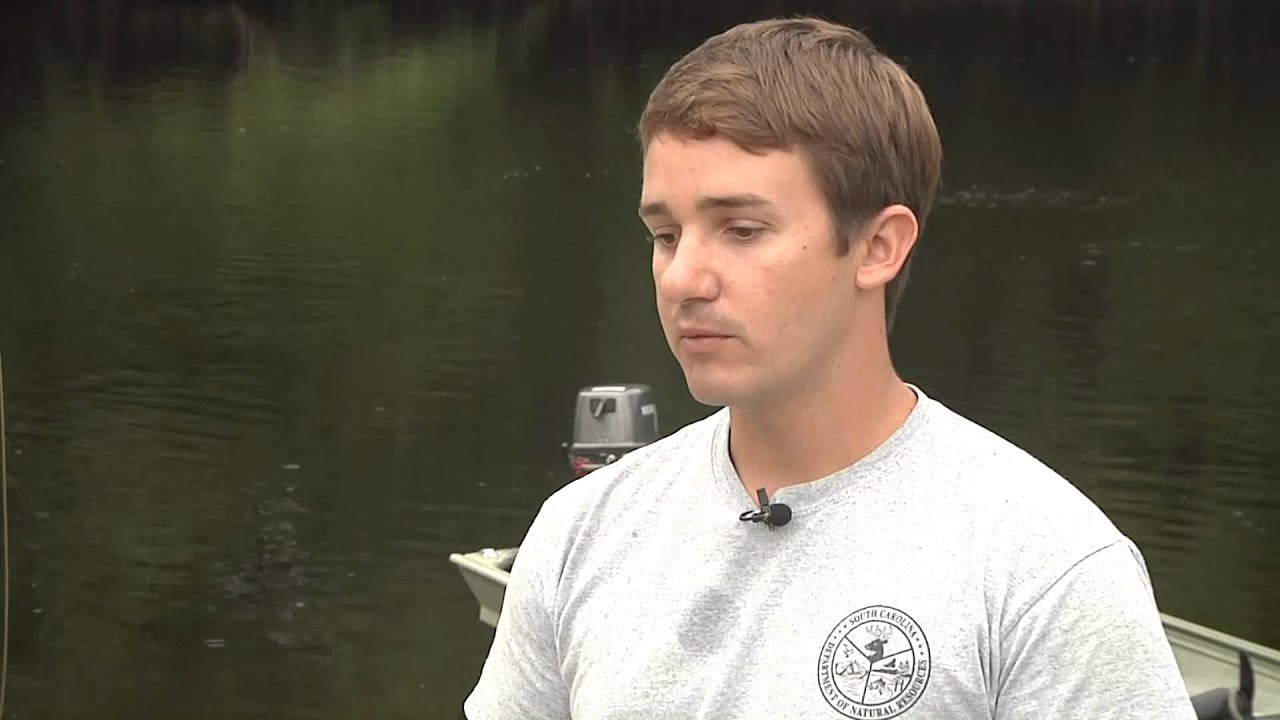 Scientists using electro-shock to get catfish species under control ...