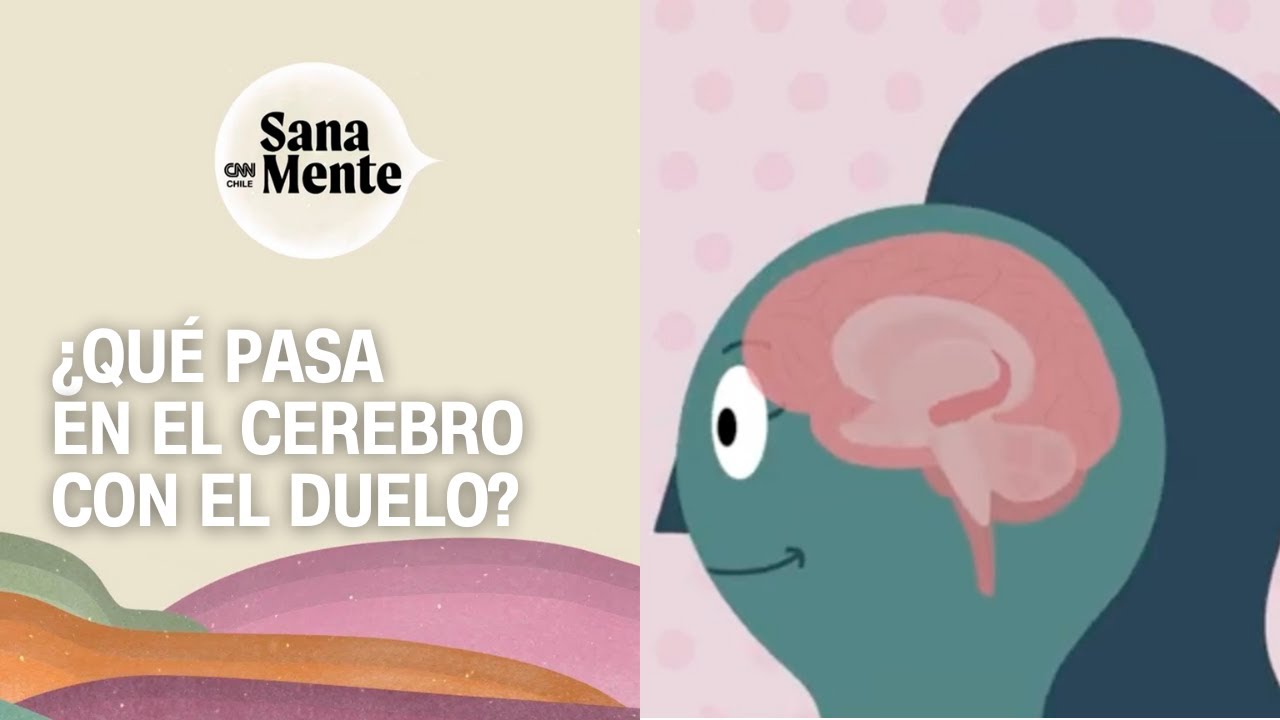 ¿Qué pasa en el cerebro con el duelo? - YouTube