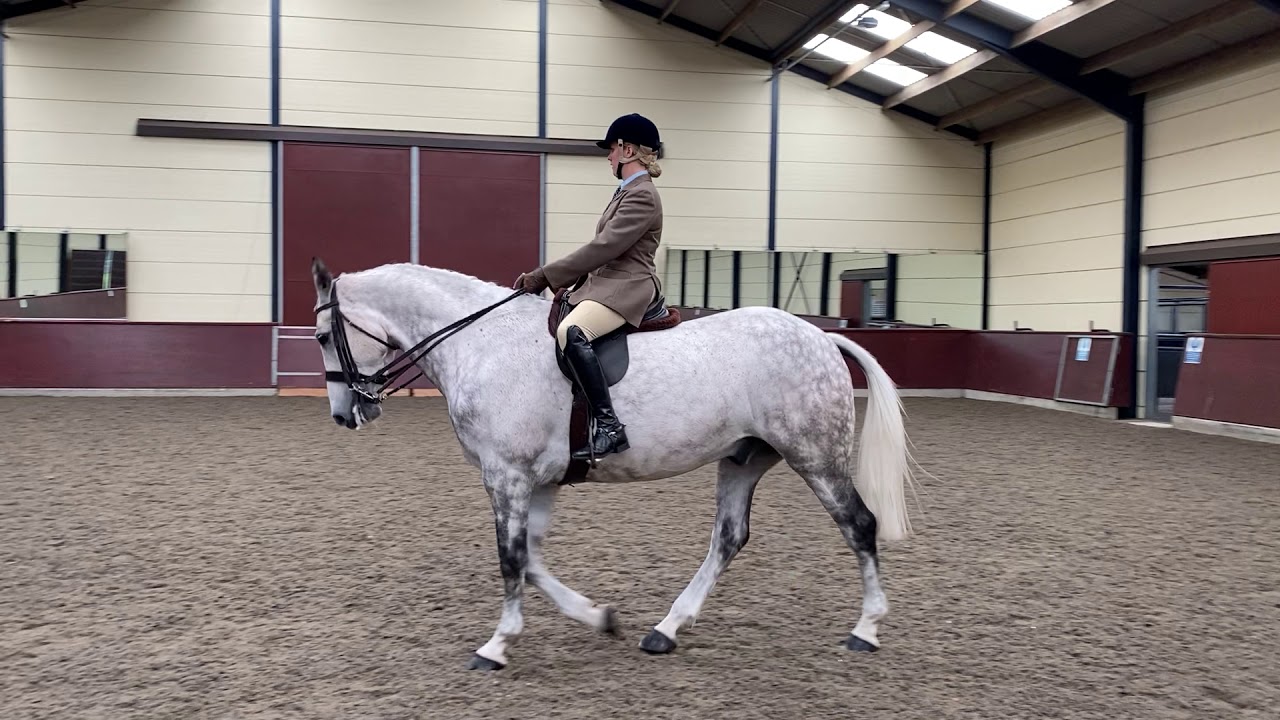 EQUETECH VIRTUAL SHOWING SHOW - RIDDEN HUNTER CLASS WINNER 2020 - YouTube