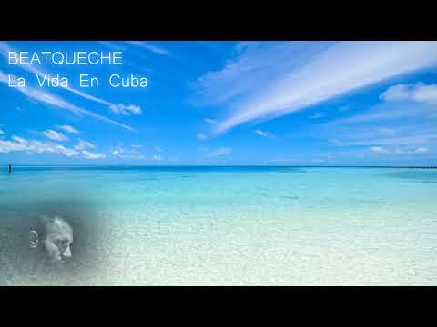 Art of Melodic Techno & House Mix 2021 Best of BeatQueche