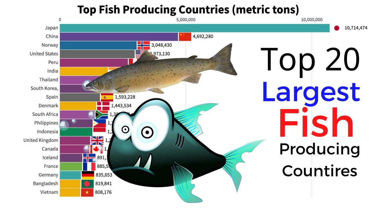 Top 20 Largest Fish Producing Counties (1960-2018) - YouTube