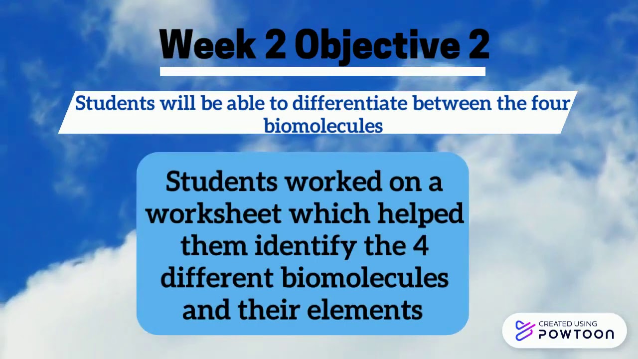 Term 1 Video Animation Project - YouTube