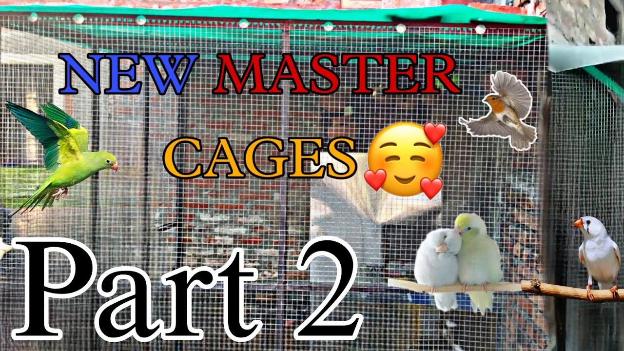 HOW TO MAKE BIG MASTER CAGES ( Part -2) || How to make a bird cage ...