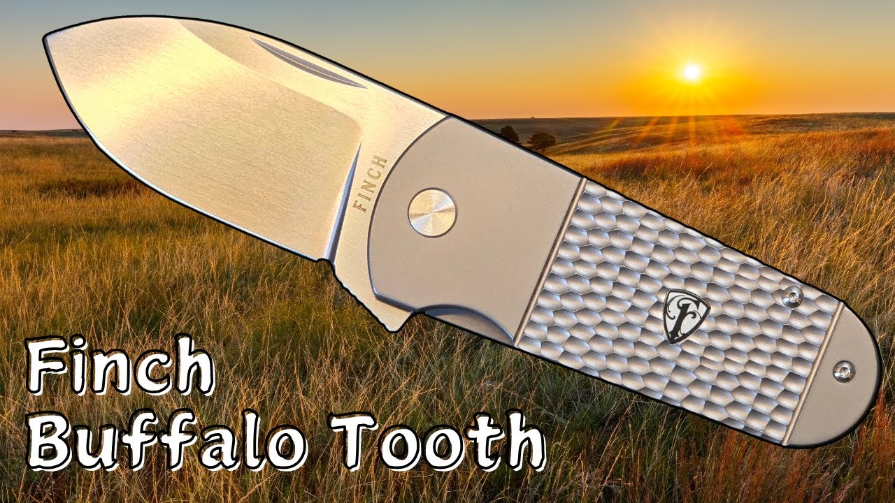 Finch Buffalo Tooth #knifereview #knifedisassembly #finchknives # ...