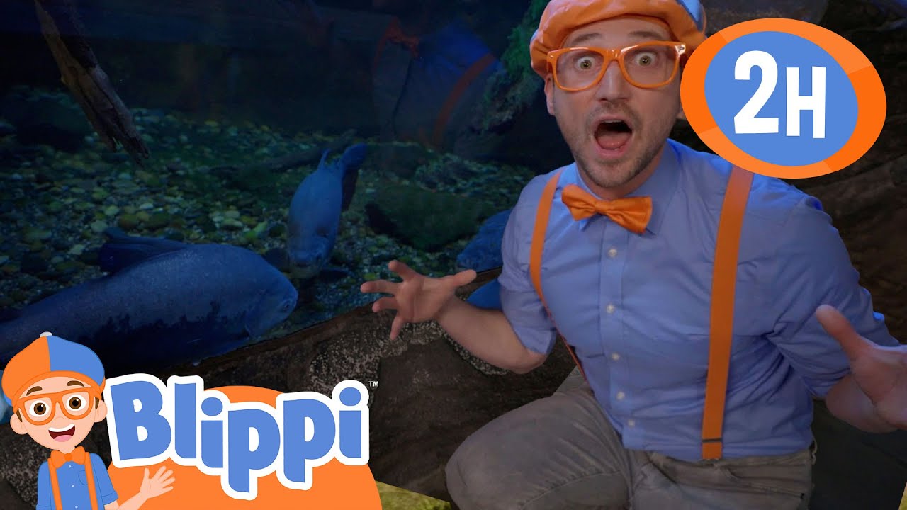 Blippi in Aquarium of Boise |Animals for Kids |Animal Cartoons |Funny ...