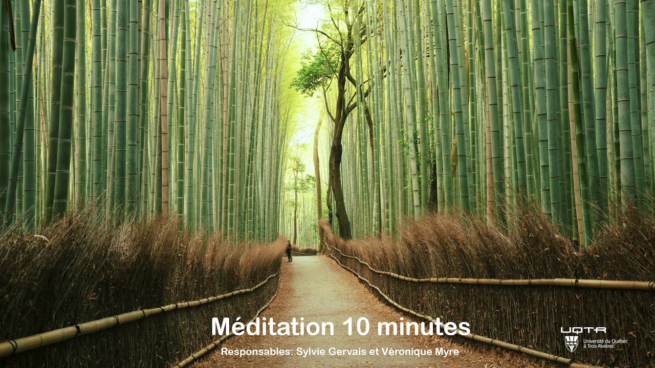 Capsule de méditation - 10 minutes (guidée) - YouTube