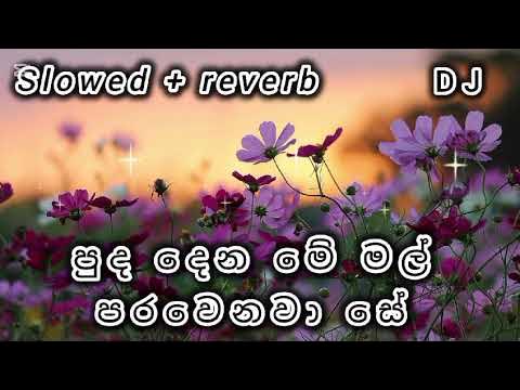 Sambudu ruwa ( සම්බුදු රුව ) - පුද දෙන මේ මල් පරවෙනවා සේ ( puda dena me mal parawenawa se )SL ...