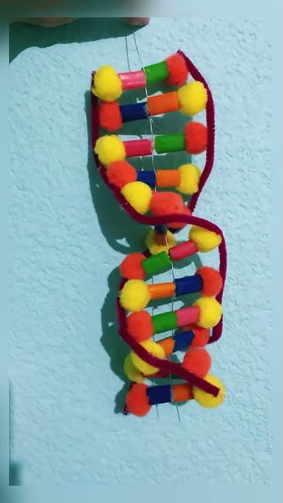 Estructura del ADN - YouTube