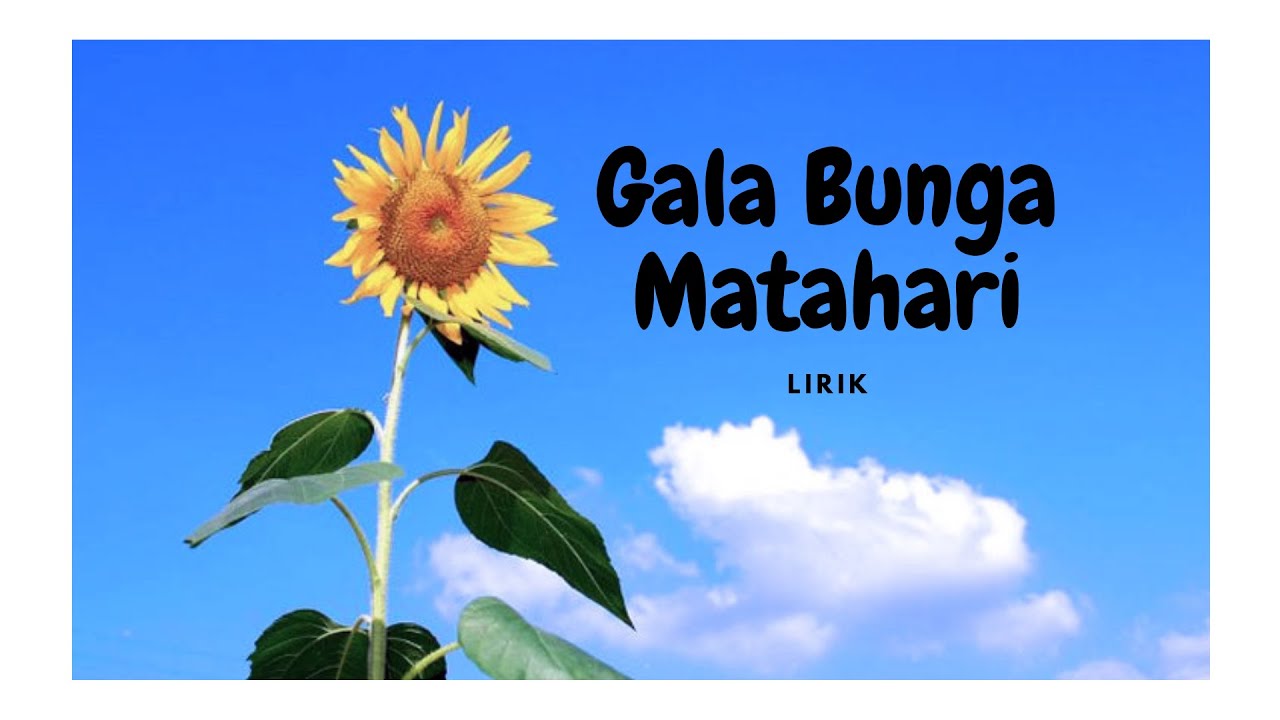 Gala Bunga Matahari Sal Priadi (Lirik) - YouTube