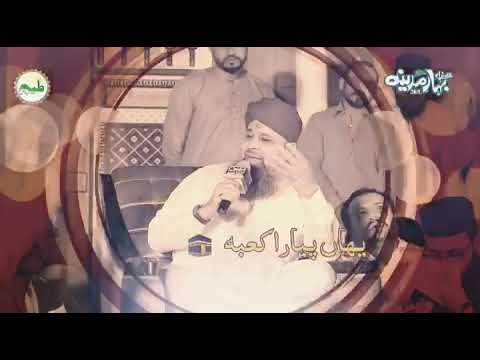 Madina Madina 😍 Whatsapp Status at Mahfil Bhar e Madina by Alhaj Owais Raza Qadri 2019