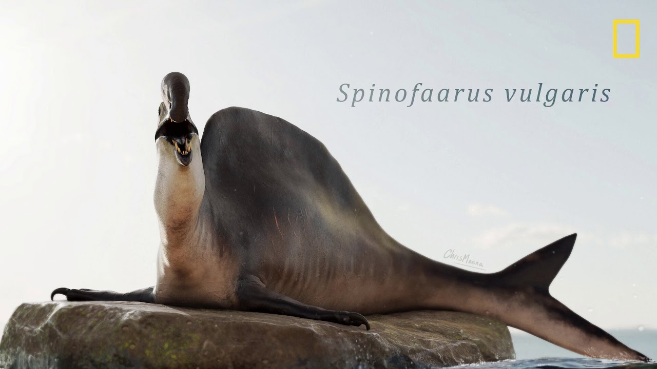 Spinofaarus Tribute - YouTube