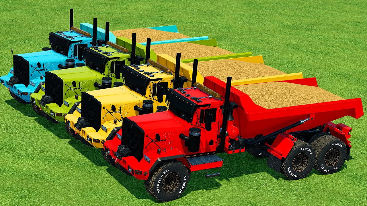 LOAD AND TRANSPORT TRITICALE WITH TLX PHOENIX TRUCKS & OLD HARVESTERS ...