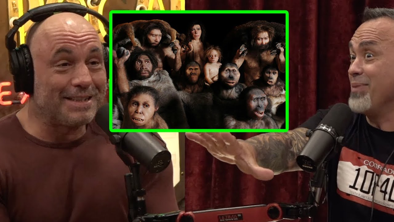 Joe Rogan ON GOD, EVOLUTION, and THE SIMULATION! - YouTube