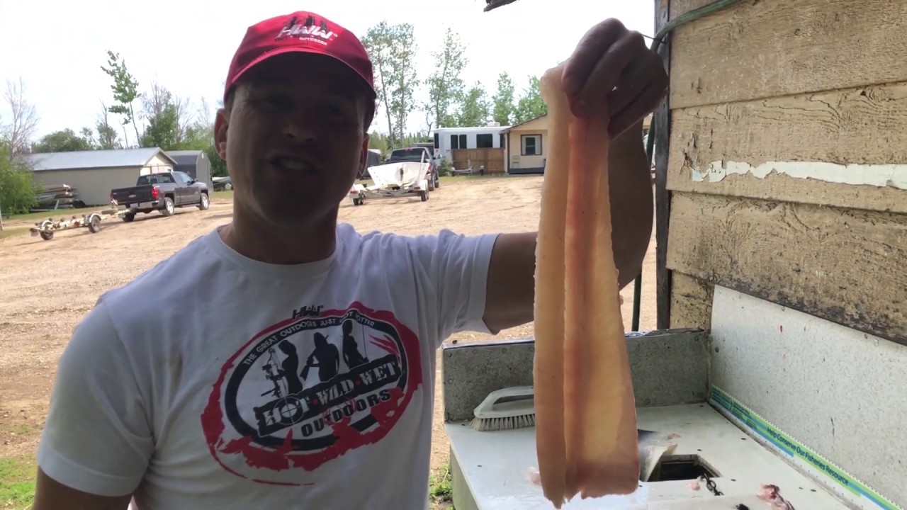 How to fillet fish - Fresh Water - Pike - Jackfish - Muskie #fishing # ...
