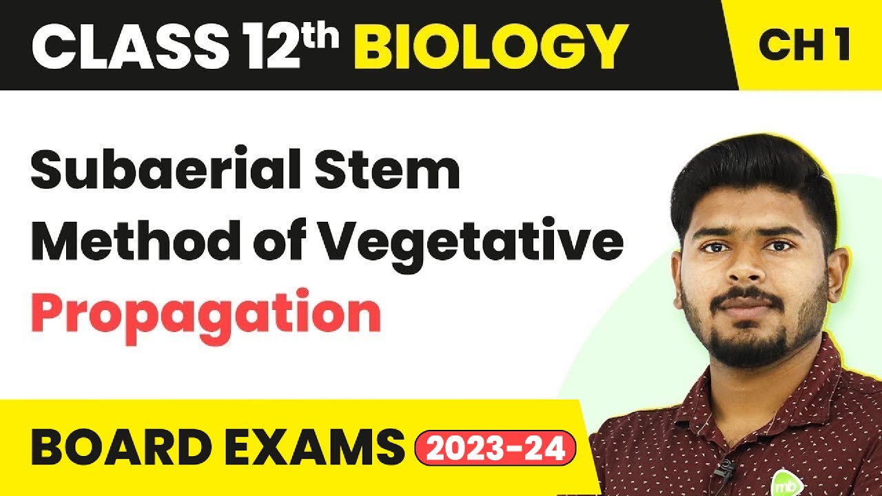 Subaerial Stem Method of Vegetative Propagation | Class 12 Biology Ch 1 ...