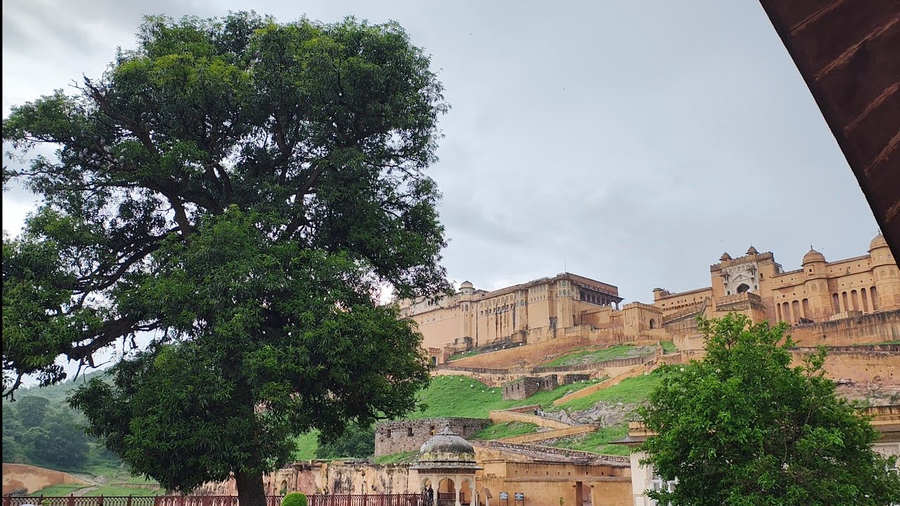 Royal Amer fort and magnificent Mango tree - YouTube