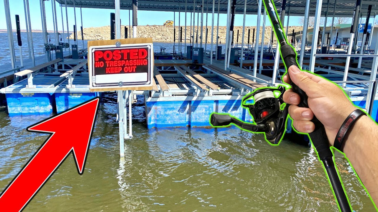 Shocked by THOUSANDS of Fish Living Under ONE Dock!!! - YouTube