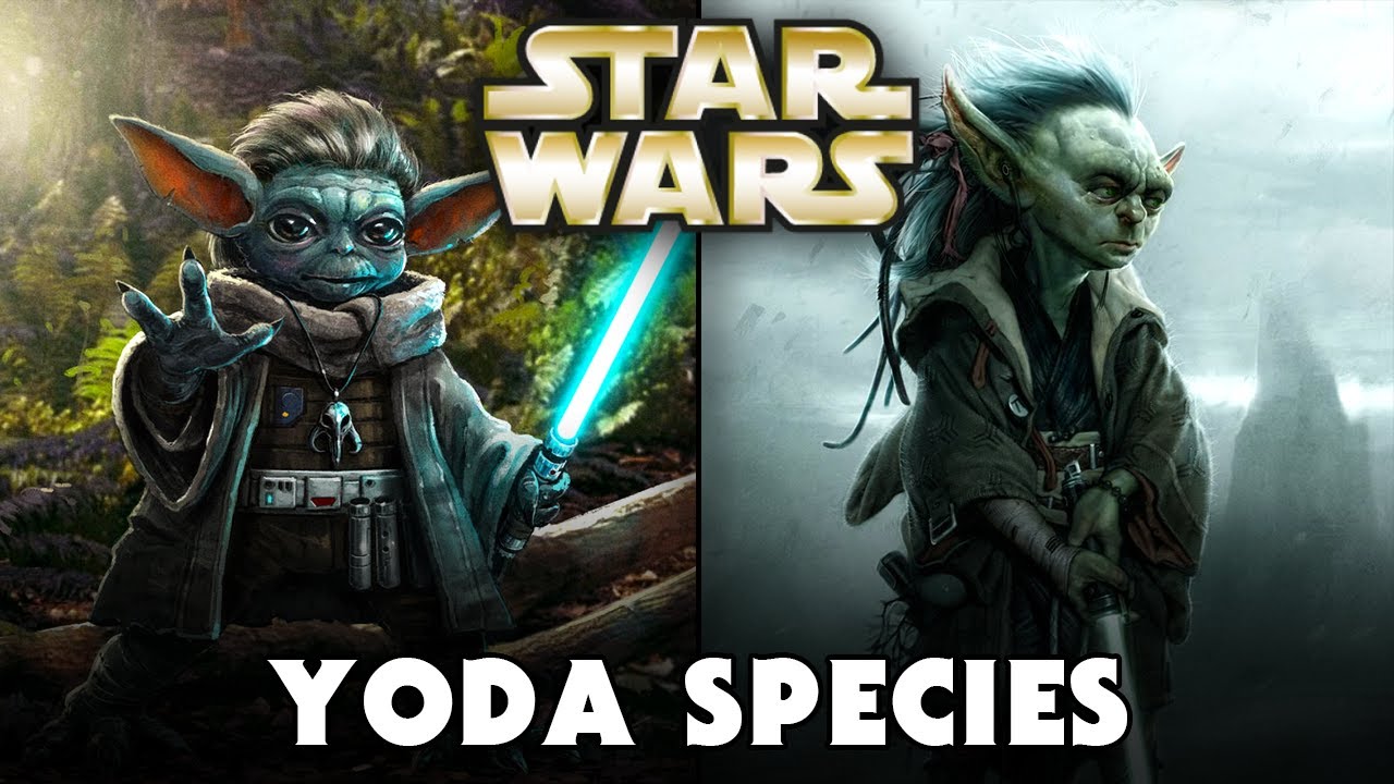 YODA Species (Canon) - Star Wars Explained - YouTube
