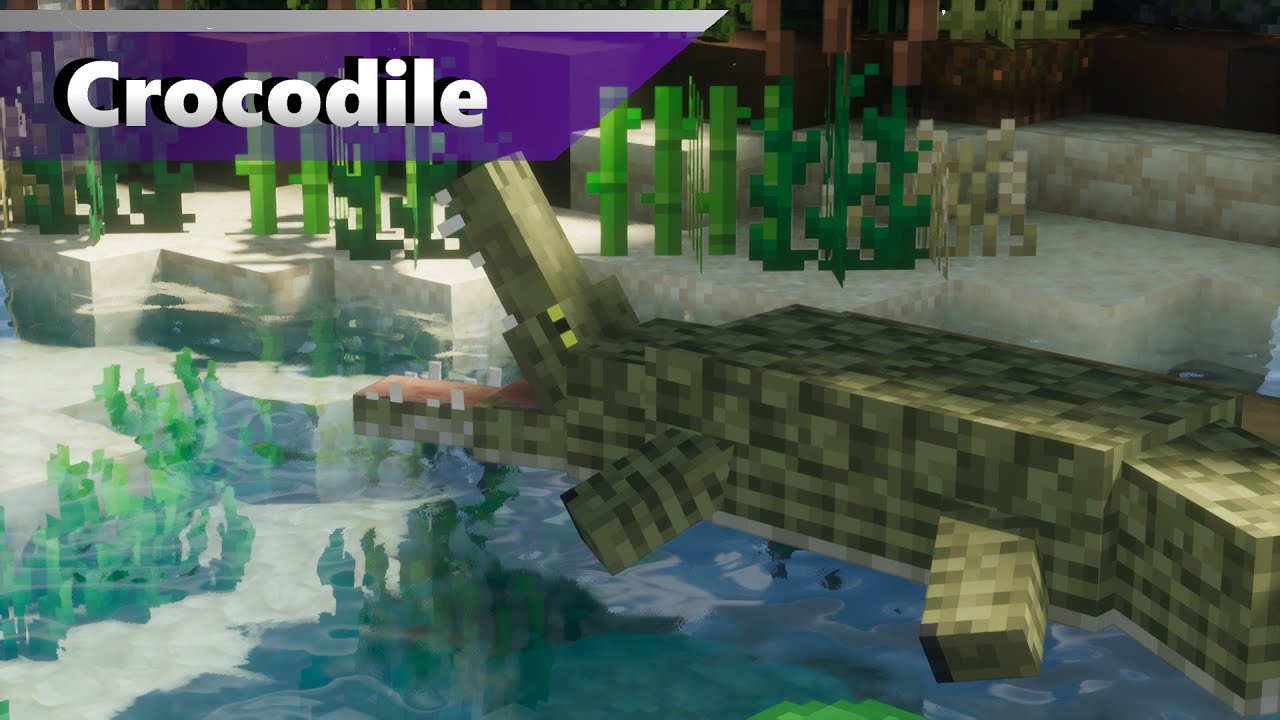 Minecraft Alligator Farm