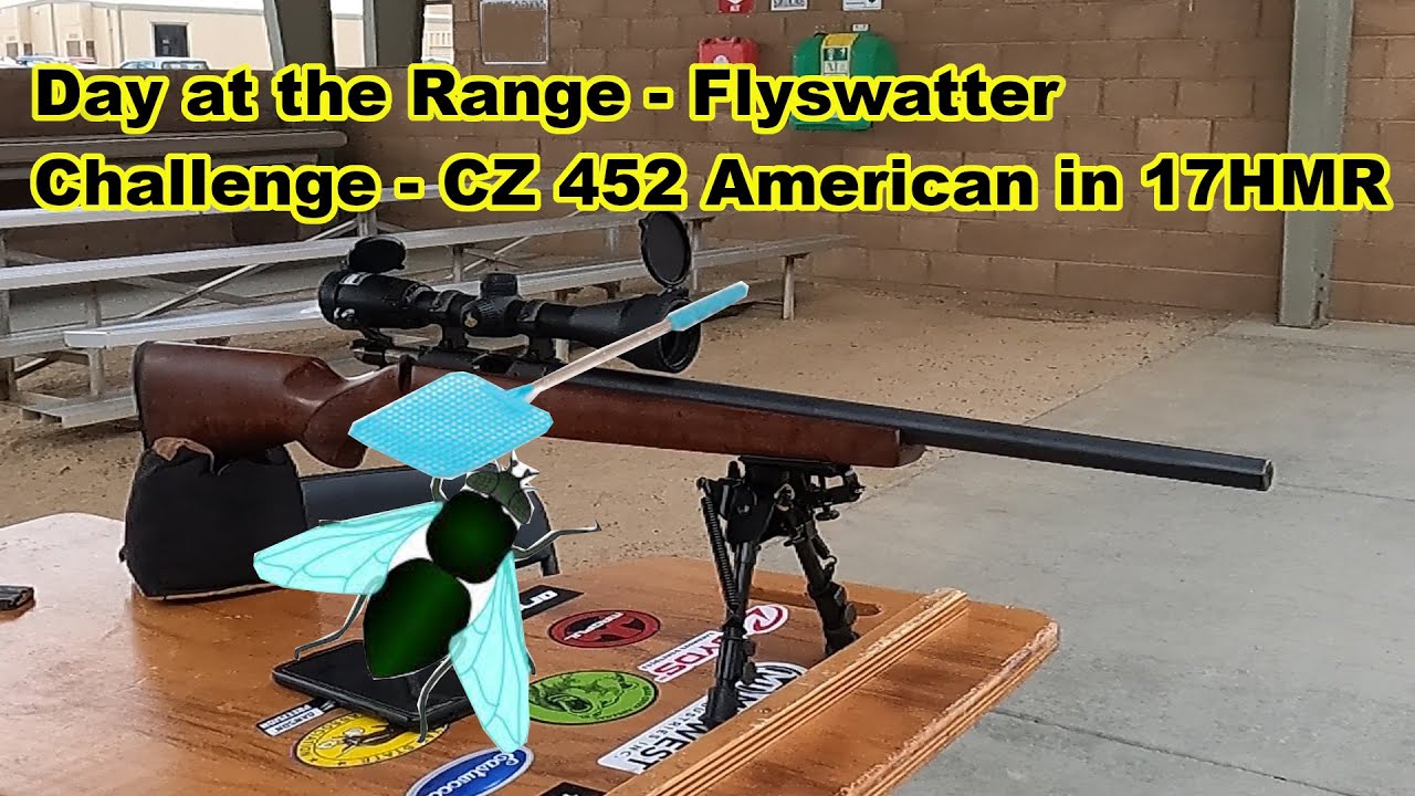 Flyswatter challenge - CZ 452 American in 17 HMR @Dayattherange - YouTube