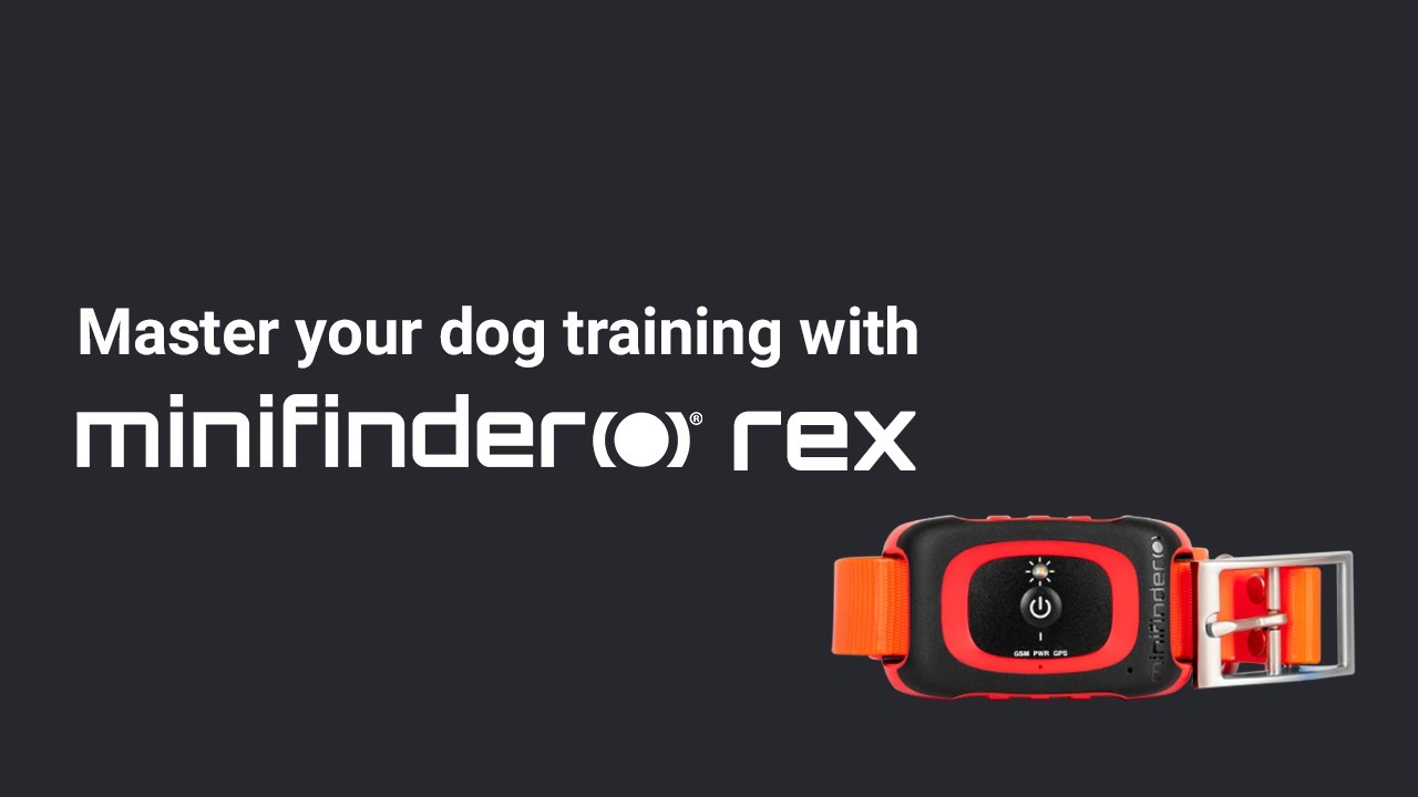 Revolutionerande Hundträning med MiniFinder Rex - YouTube