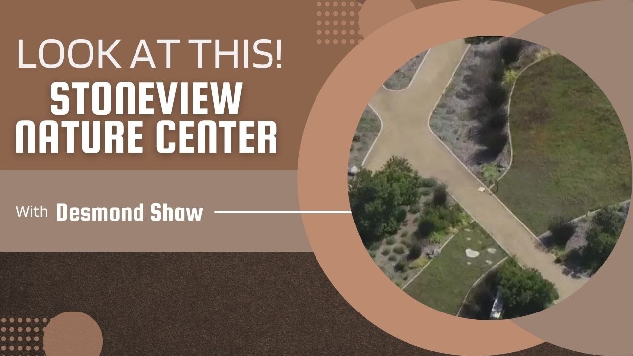 Stoneview Nature Center has a hotel... for bees? - YouTube