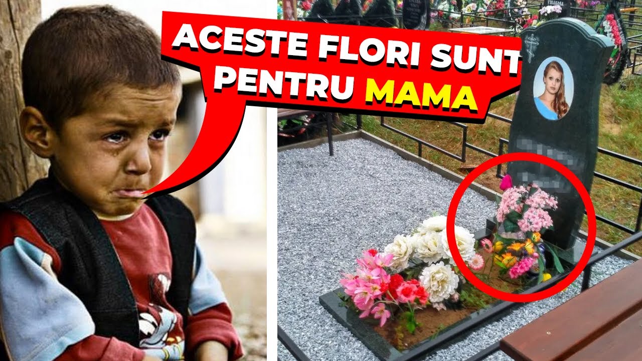 I-a cumpărat Flori unui băiețel care nu avea bani, După a văzut Acel ...