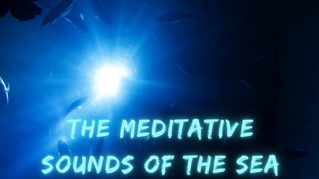 The Meditative Sounds of the Sea | Deep Underwater | Ambient Music For ...