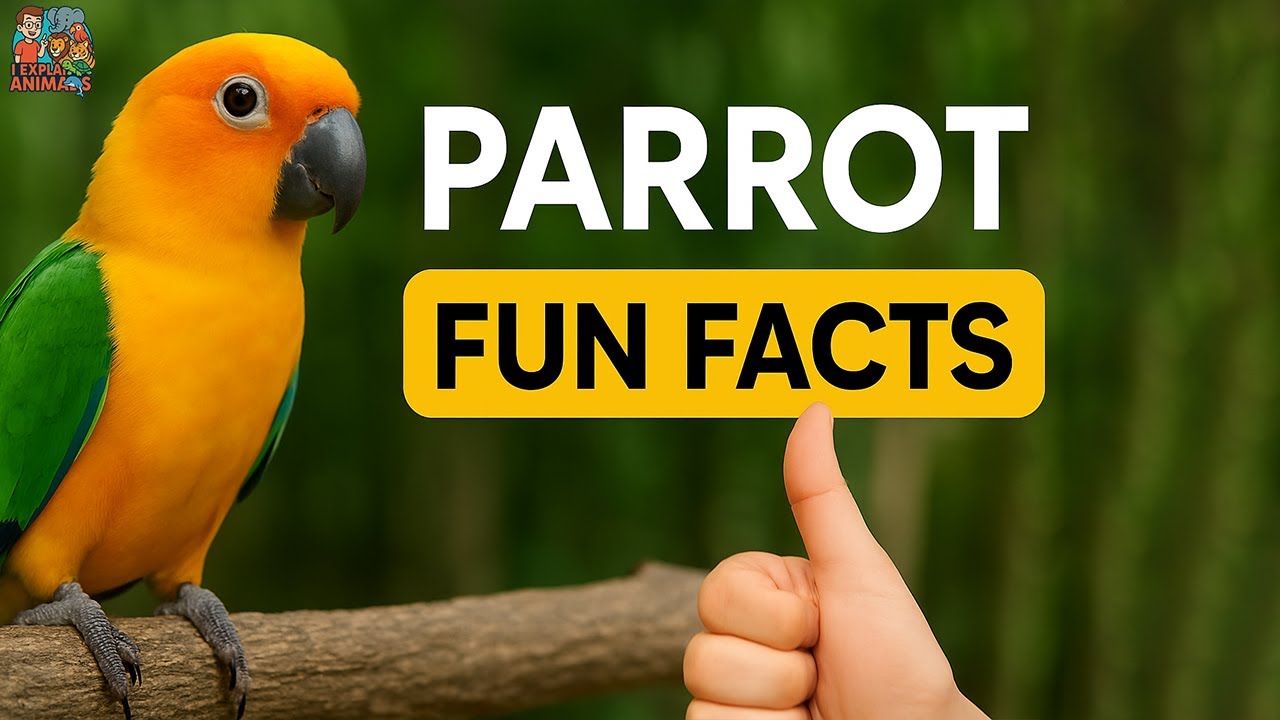 Mind-Blowing Facts About Parrots You Never Knew! 🦜 | Parrot Fun Facts ...
