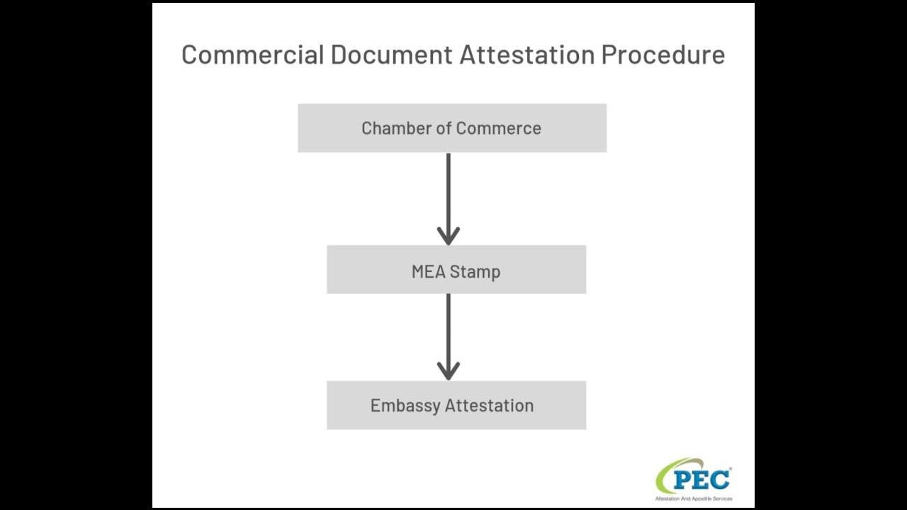 Commercial Documents - YouTube