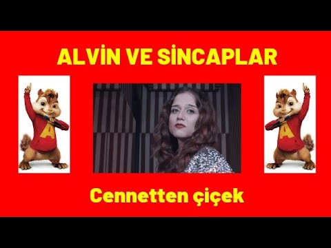 ZEHRA GÜLÜÇ - CENNETTEN ÇİÇEK | ALVİN VE SİNCAPLAR