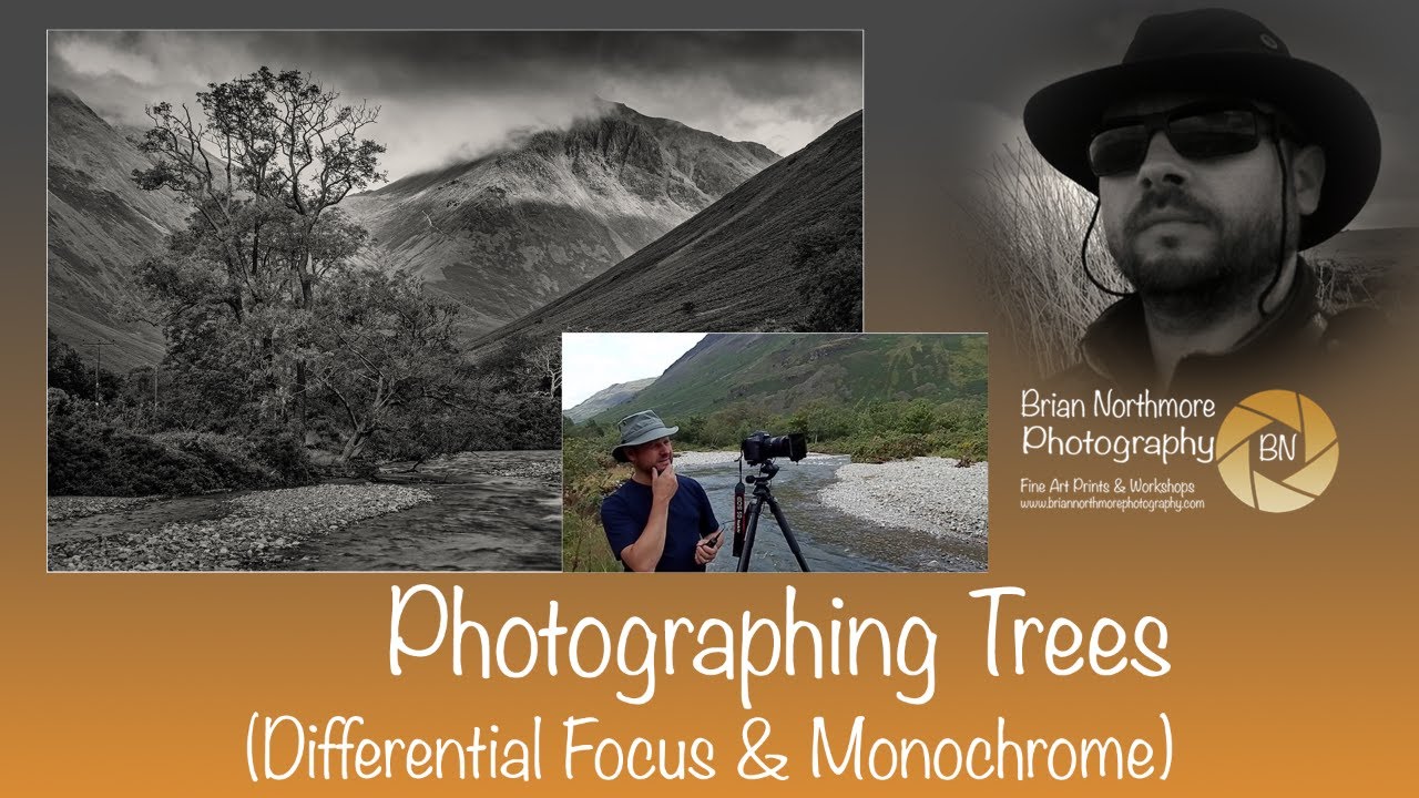 Photographing Trees (Monochrome & Differential Focus) - YouTube