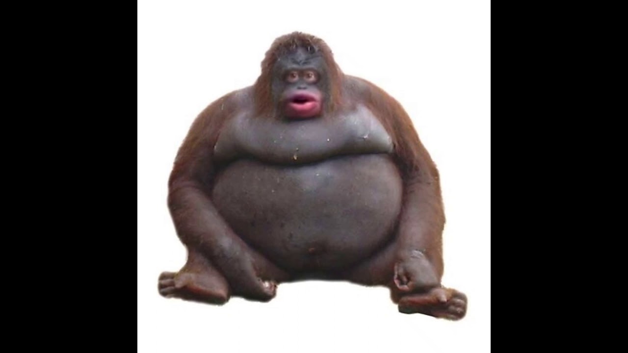 Monke Song - Monke Boi - YouTube