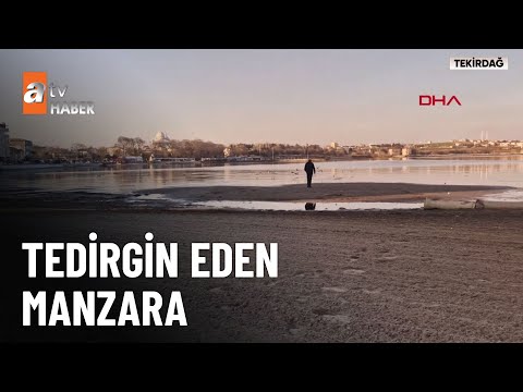 Tekirdağ’da deniz 20 metre çekildi  - atv Haber 17 Aralık 2025