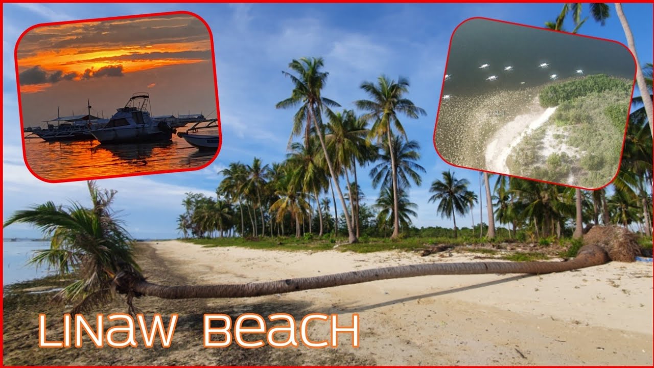 Linaw Beach Panglao Bohol PHILIPPINES. Beach has a lot of boats and is ...